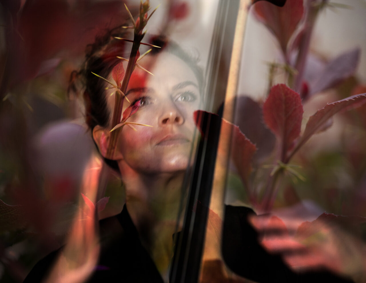 Mingo Rajandi „Werewolves“ - Festival Jazzkaar